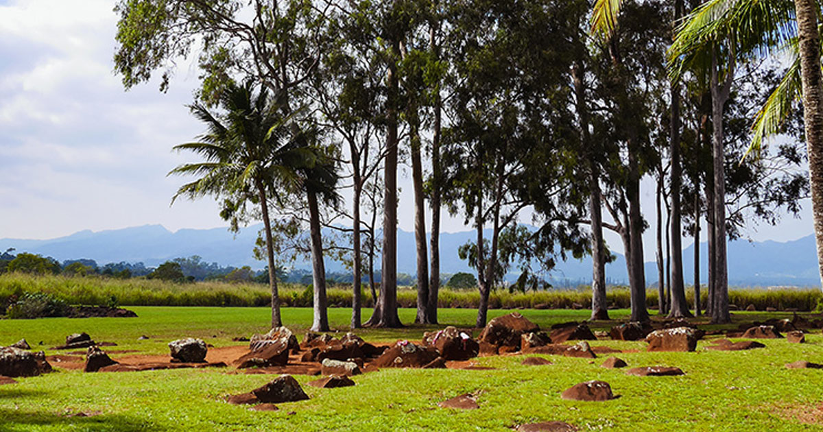 THE SPIRIT OF ALOHA | Travelleaders.com
