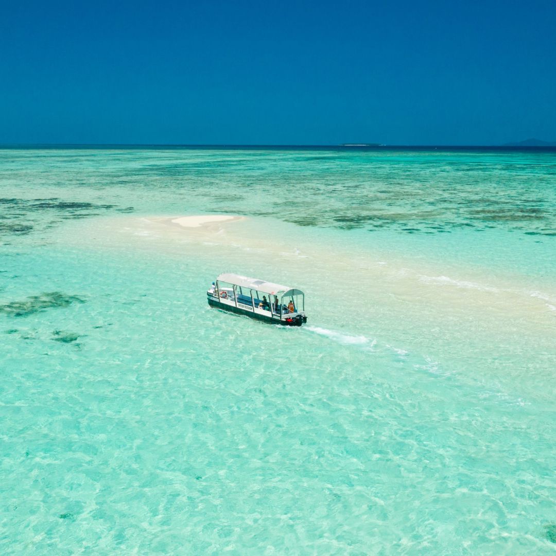 EXPLORE AUSTRALIA'S NATURAL MASTERPIECES: WILDLIFE, REEFS & BEYOND ...